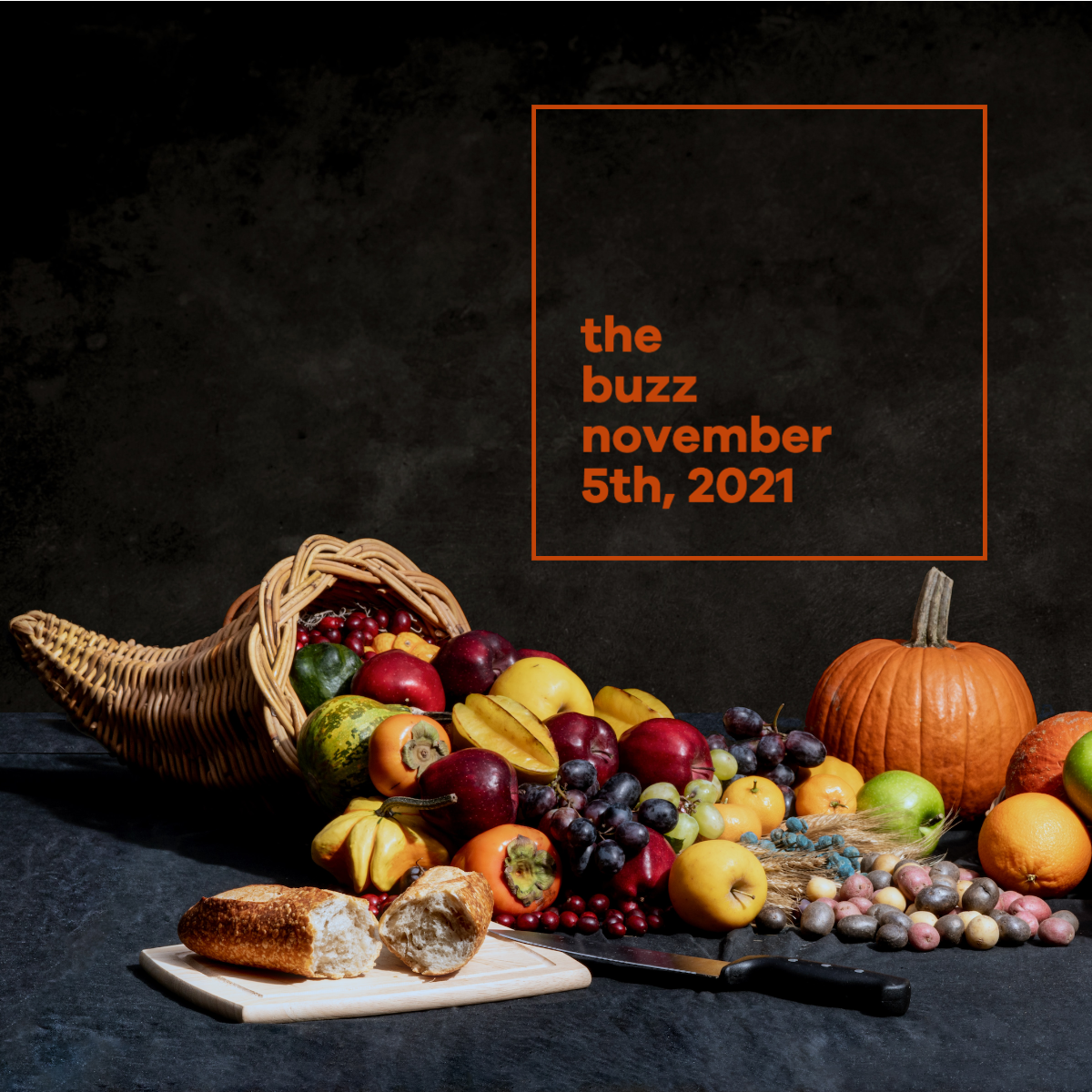 The Buzz | November 5, 2021 – San Francisco and Marin Intergroup ...